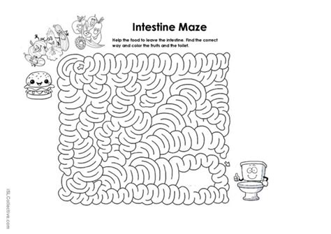 Digestive and Respiratory System maz Español ELE hojas de trabajo pdf