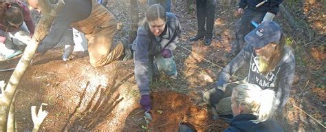 Forensic Science College Of Arts And Sciences