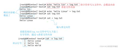 【linux系统编程】第四弹 基本指令二echo 指令 Csdn博客 【linux系统编程】第四弹 基本指令二echo 指令 Csdn博客