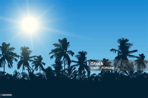 빛나는 떠오르는 태양과 텍스트 공간푸른 하늘의 사실적인 그림 휴가에 열대 야자수의 꼭대기 벡터 0명에 대한 스톡 벡터 아트 및 기타 이미지 Istock