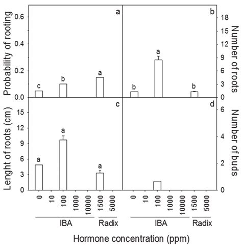 Probability Of Rooting A Number Of Produced Roots B Length Of Download Scientific Diagram