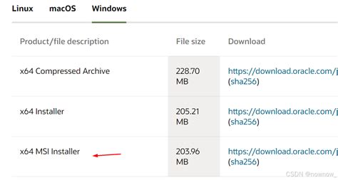 安装jdkubuntu24 安装jdk Csdn博客