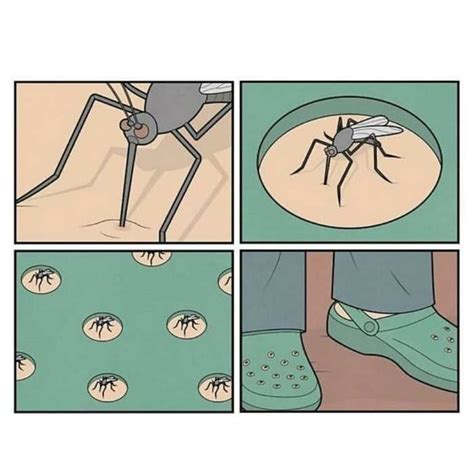 Mosquito Bite Memes