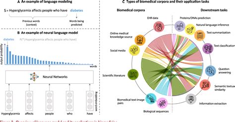 Figure 1 From Language Model And Its Interpretability In Biomedicine A Scoping Review