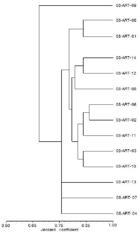 unweighted pair group method with arithmetic average dendrogram of 14