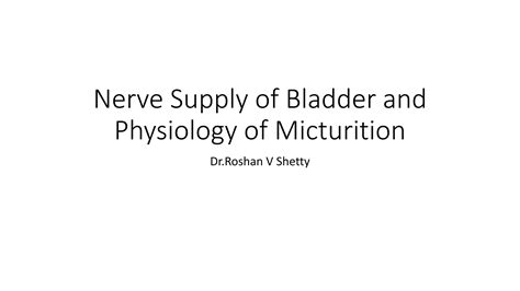 Nerve Suply Of Bladder And Physiology 2 Pptx