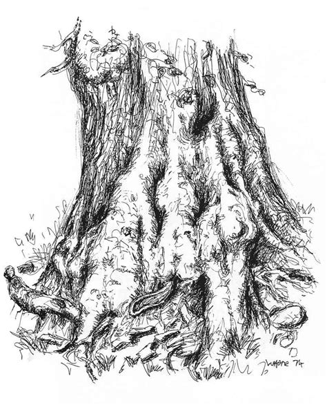 Tree Bark Texture Drawing At Getdrawings Free Download