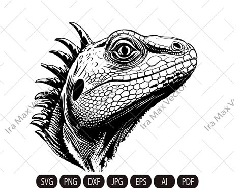 Cute Lizard Svg Lizard Face Svg Lizard Head Iguana Face Svg Png Cute