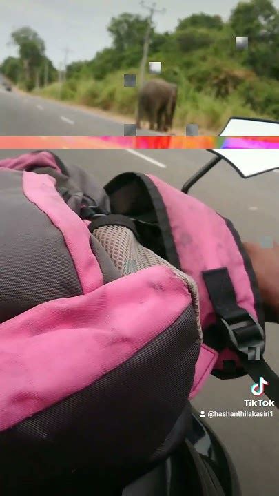 බලන්නකො එයා Youtube