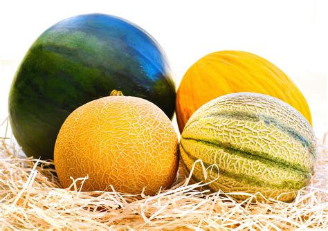 40 Types Of Melons To Discover From Around The World