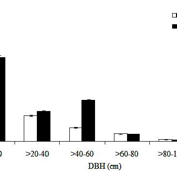 Tree Density In Different Diameter Classes In Natural And Plantation Download Scientific