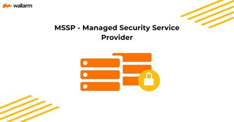 What Is A Managed Security Service Provider Mssp⚠️