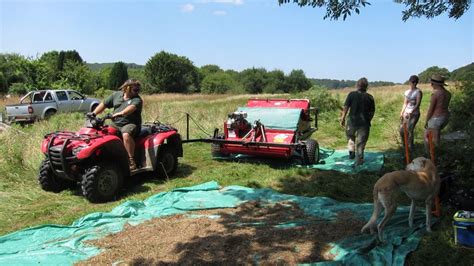 Rangers Torrington Commons