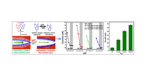 Ionic Transport And Robust Switching Properties Of The Confined Self Assembled Block Copolymer