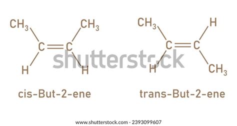 Difference Between Cis Trans Isomers Cis Trans Stock Vector Royalty