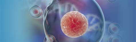 肿瘤检测解决方案