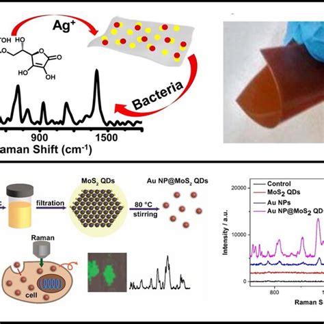 A Carbon Dot Silver Nano Hybrid As Sers Films For Bacteria Detection Download Scientific