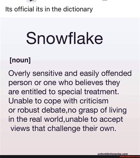 Snowflake Definition Ster Dictionary At Patricia Henderson Blog