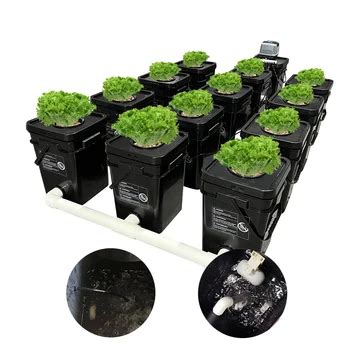 Rdwc 12 Buckets Recirculating Hydroponic System Air Pump And Cycle Pump Clone Bucket Hydroponic