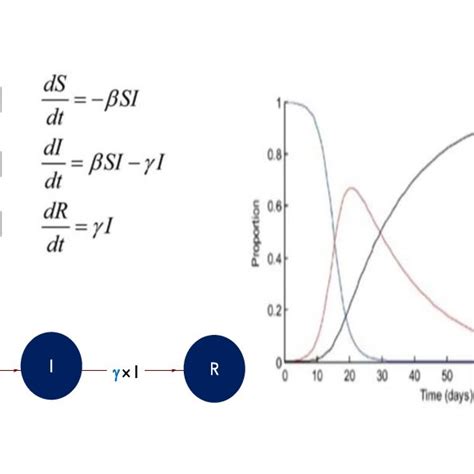 State Transition Diagram Seir Model Download Scientific Diagram