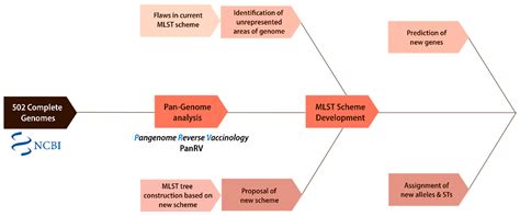 Comparative Pan Genomic Analysis Revealed An Improved Multi Locus