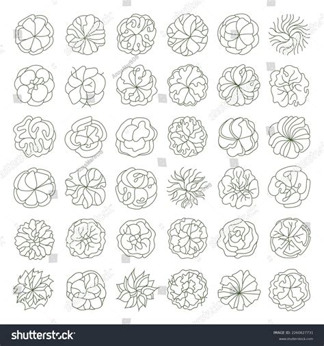 Tree Architectural Floor Plans Entourage Design Stock Vector Royalty Free 2260627731