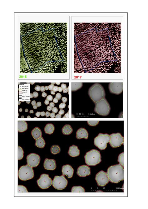 Examples Of The Canopy Height Models Chms And Crown Delineation For