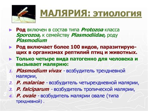 Малярия - презентация онлайн