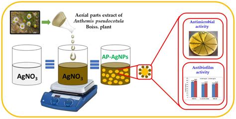 Green Synthesis Of Silver Nanoparticles Using Aerial Part Extract Of The Anthemis Pseudocotula