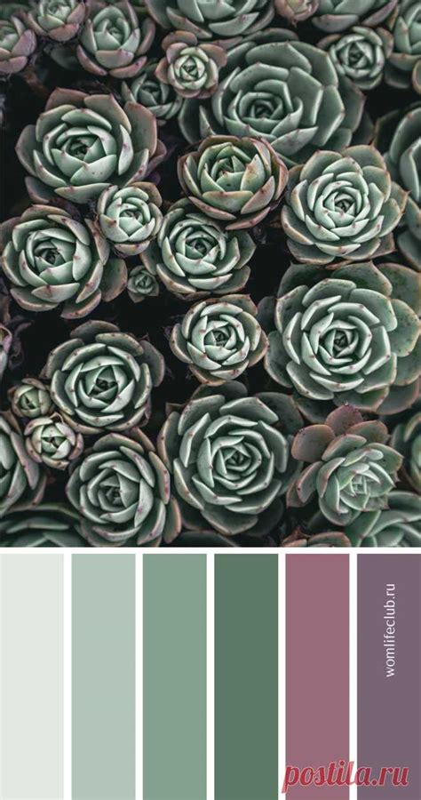 Сочетание зеленого и фиолетового Нежные воздушные оттенки для непо Цветовые палитры и