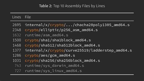 Better X86 Assembly Generation With Go Speaker Deck