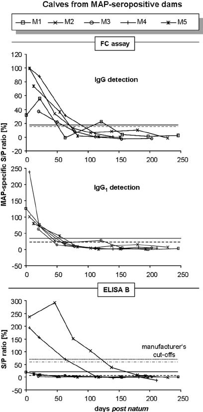 Distribution Of M Avium Subsp Paratuberculosis Map Specific Igg Download Scientific Diagram