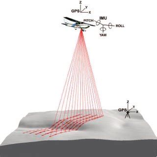 LIDAR Based Measurement Of Individual Conifer Tree Growth Download Scientific