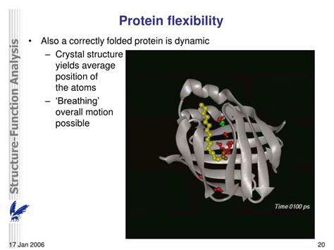 Ppt Dnaprotein Structure Function Analysis And Prediction Powerpoint Presentation Id3965045