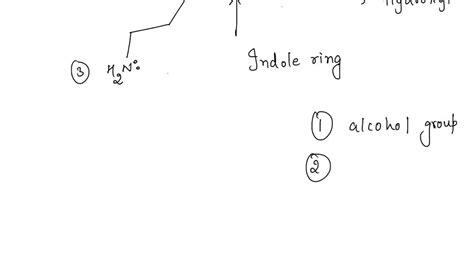 Solved Name The Functional Groups Present In Serotonin Oh H N