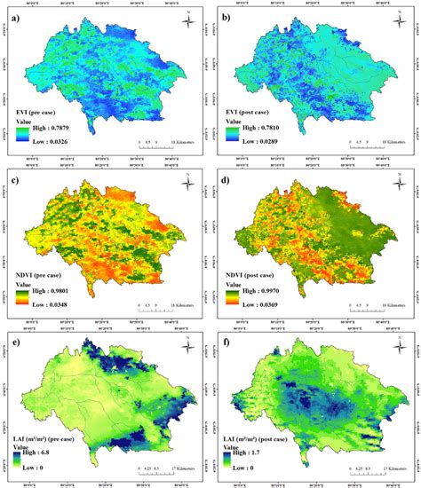Temporal And Spatial Dynamics Of Biophysical And Biochemical Features Download Scientific