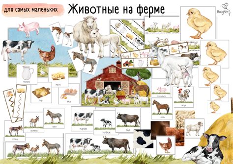 ЖИВОТНЫЙ МИР