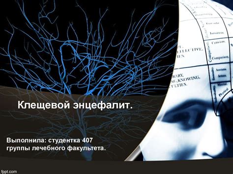 Клещевой энцефалит - презентация онлайн