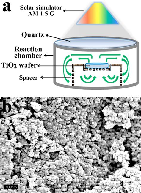 A Schematic Diagram Of Photocatalytic Flow Through Membrane Download Scientific Diagram