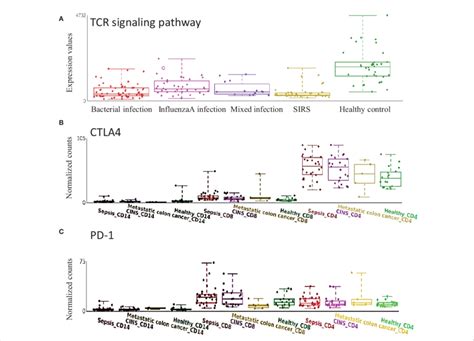 Expression Of T Cell Receptor Tcr Signaling Pathway And Related Genes Download Scientific