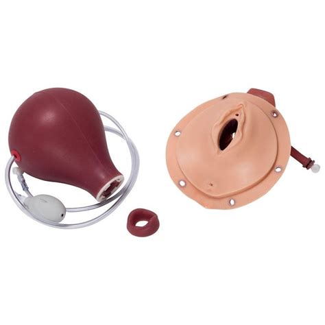 Postpartum Bloeding Module Voor Super Ob Susie Bevallingssimulator