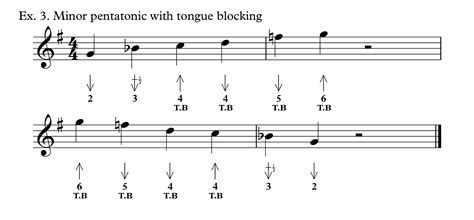 How To Tongue Block Harmonica A Step By Step Guide To Mastering The
