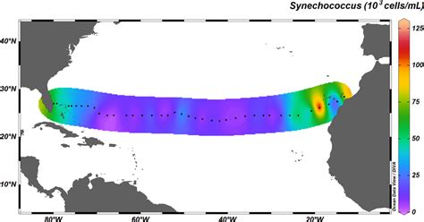 Depth Integrated Abundance Of Synechococcus In 10 3 Cells Ml −1 Download Scientific Diagram