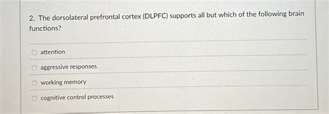 Solved The Dorsolateral Prefrontal Cortex Dlpfc ﻿supports