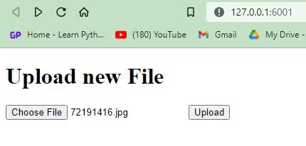 Upload And Display Images On The Frontend Using Python Flask