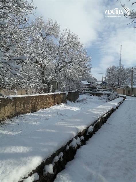 خبرآنلاین تصاویر عکس‌های تماشایی از بارش برف در روستاهای اطراف