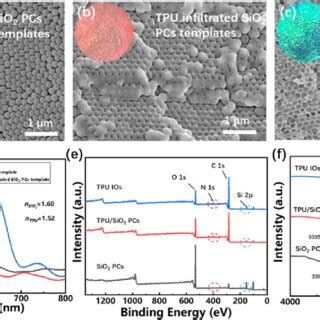 Digital Photos And SEM Images Of A SiO 2 PCs B TPU SiO 2 Composite Download Scientific
