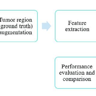 Brain Tumor Types Classification Framework Download Scientific Diagram