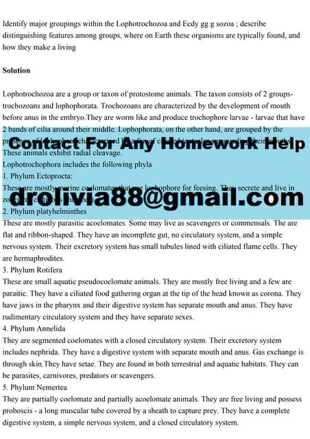 Larval Forms Of Echinoderms Pdf Larval Forms Of Echinoderms Pdf