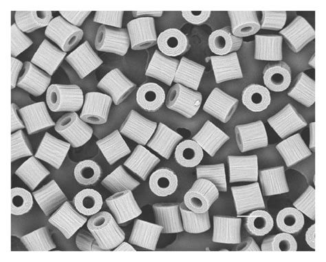 Sem Micrographs Of Solvent Free Sio2pegda Composite Particles With